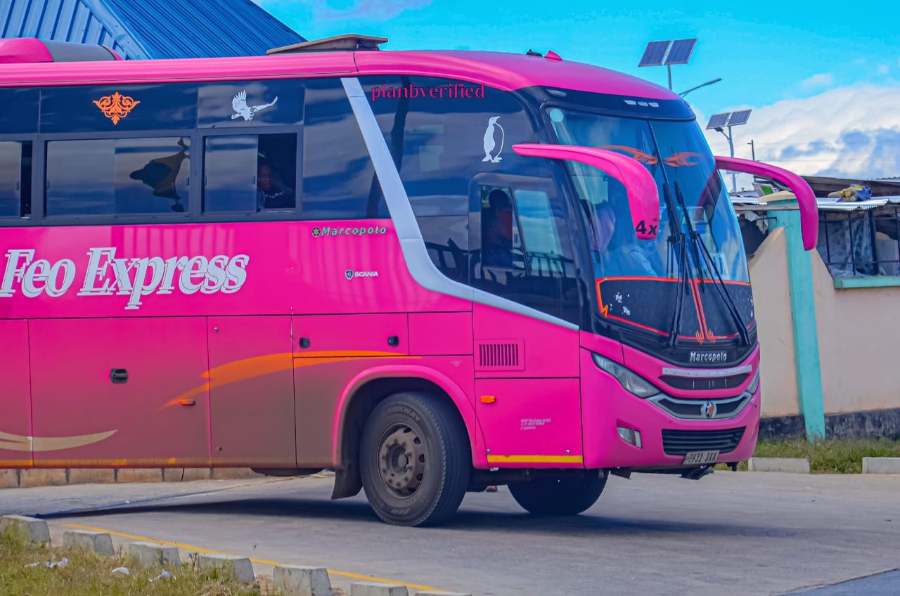 Super Feo Express - Feel the freedom of traveling